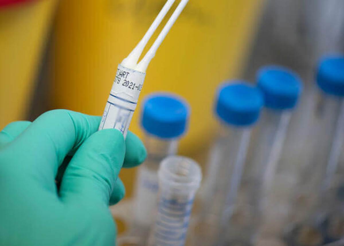 Uali, el robot que transporta pruebas de COVID de una sala de urgencias ...